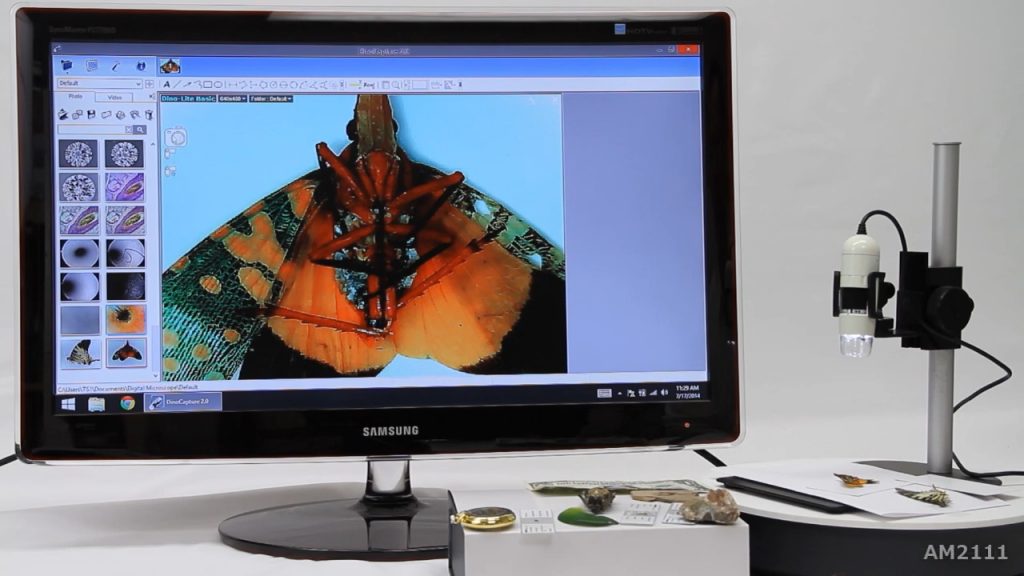 Mikroskop Digital AM2111 Dino-Lite Basic (Discontinue) – Dino-Lite ...